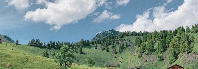 เพจส่วนตัวของ janelaya - ไบโอลิงค์ & ครีเอเตอร์โปรไฟล์